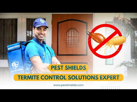 Termite/Deemak Control, Drill fill seal treatment, Warranty – Pest Shields India Pvt Ltd