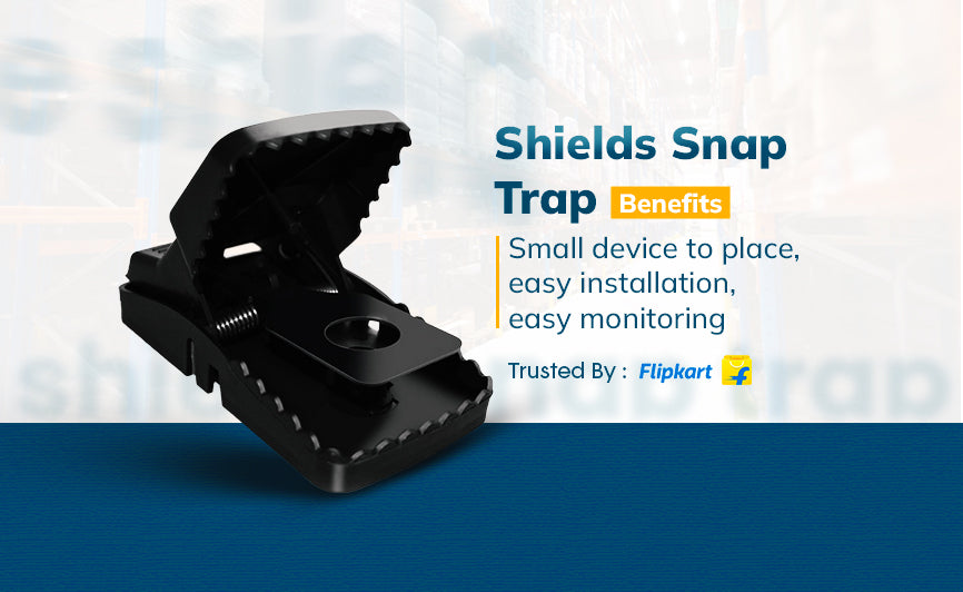 Installation of shields snap trap – Pest Shields India Pvt Ltd