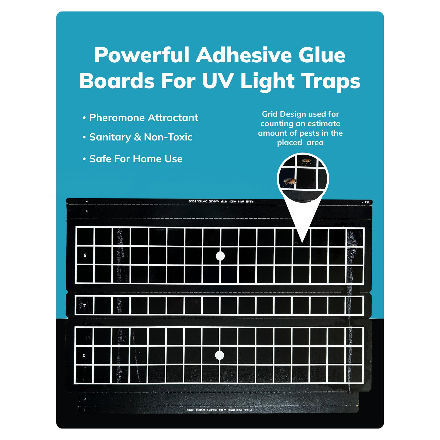 Spider Fly Catcher Pad, Fly Control Board, Glue board spider – Pest ...