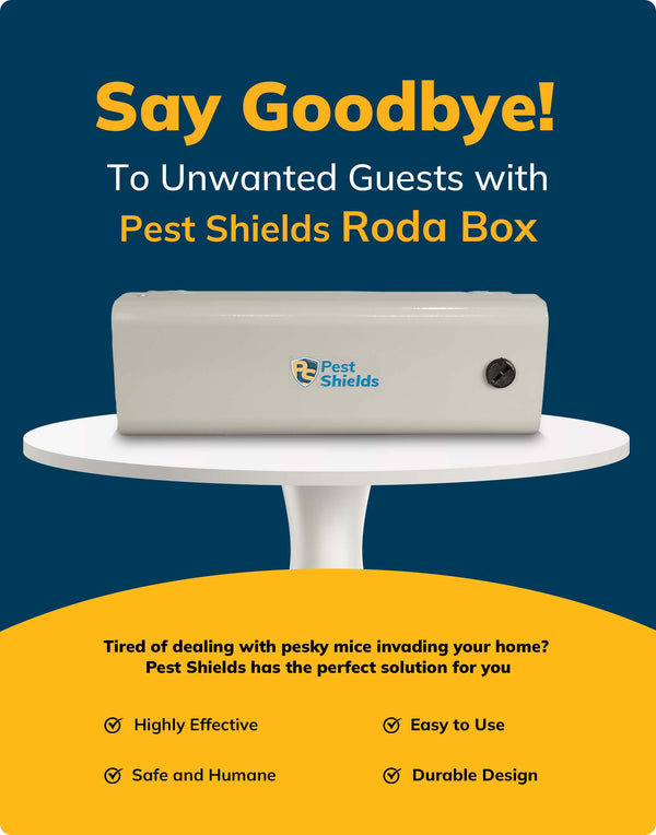 Rodent Bait Station, Wonder Trap Box, Rodent Control – Pest Shields ...