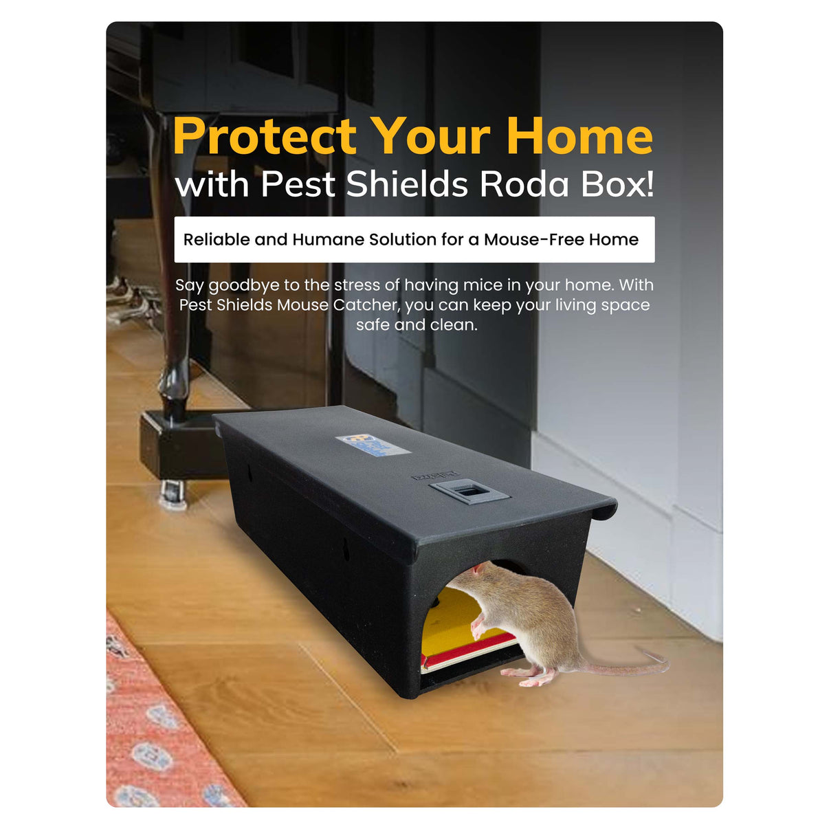 Rodent Bait Station, Wonder Trap Box, Rodent Control – Pest Shields ...